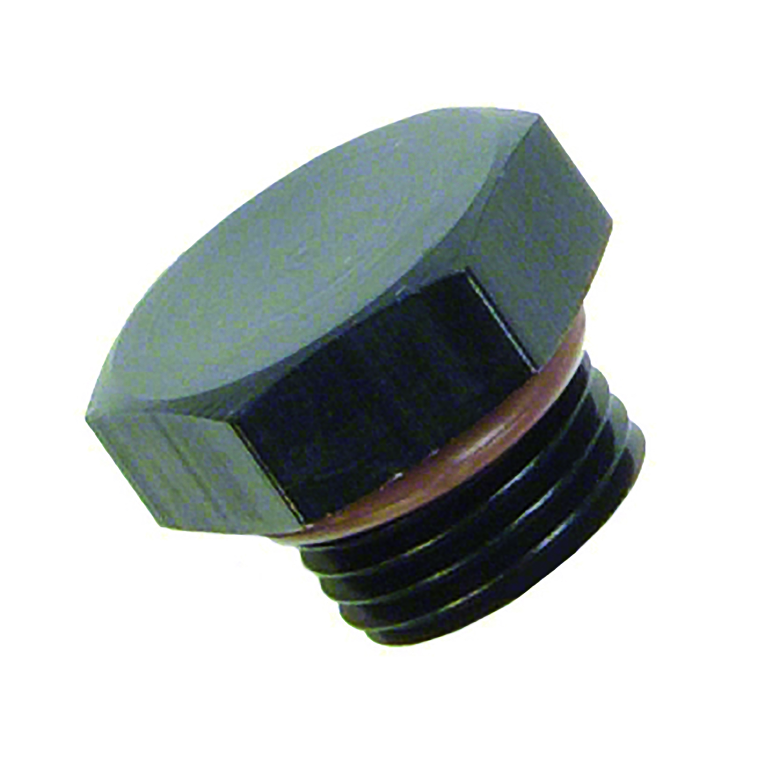 Fitting Plug/ Fitting Cap - 561014BK